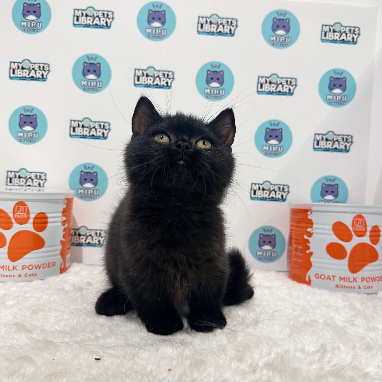 MypetsLibrary - Mypetslibrary