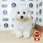 MypetsLibrary - Mypetslibrary